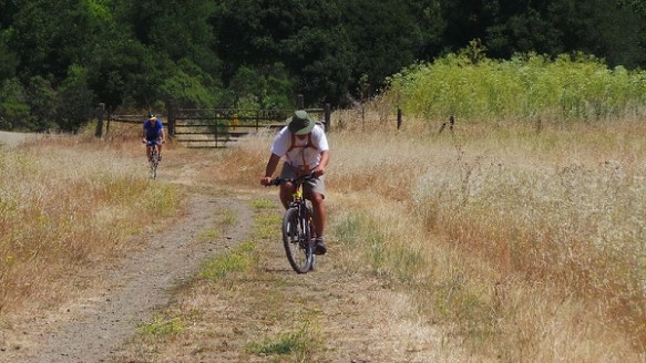 Road and Trail | mary corbin
