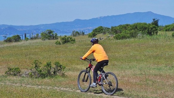 Road and Trail | mary corbin