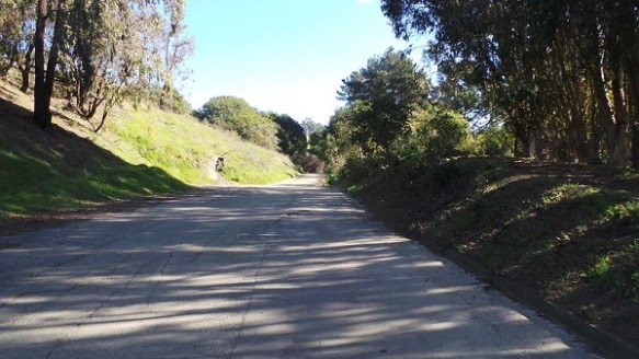 Road and Trail | mary corbin