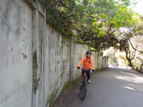 Road and Trail | mary corbin