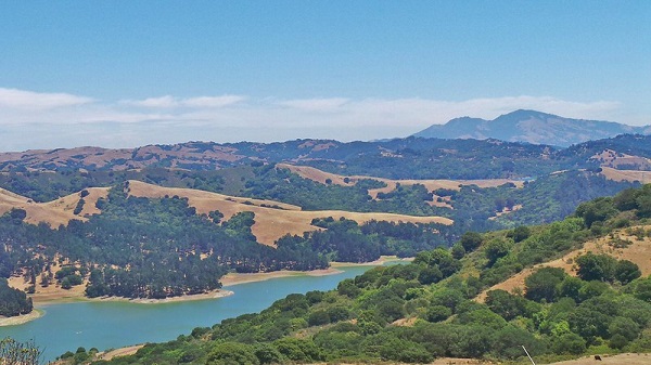 Road and Trail | mary corbin