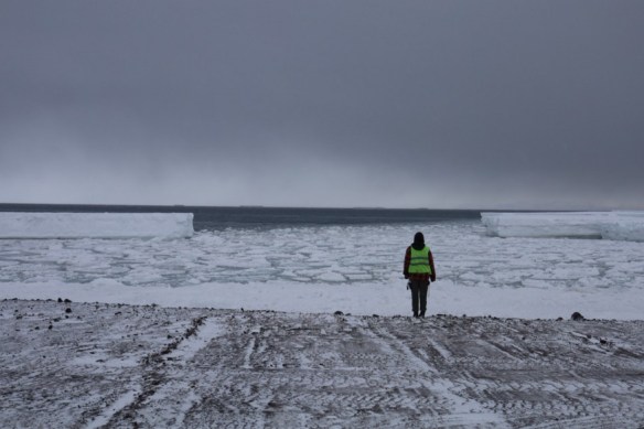 Degrees of Isolation: from Antarctica to Pandemic America | mary corbin
